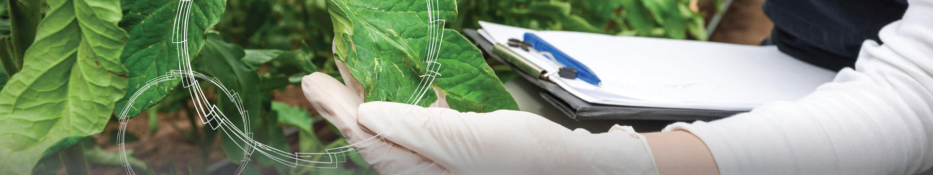 Supply Chain Inspection - Lab-Path