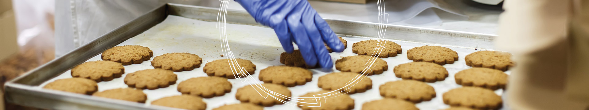 Sampling Program - Lab-Path